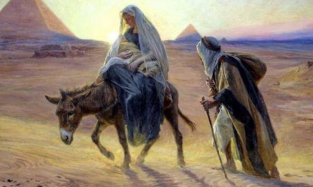 La Realidad Migratoria Iluminada por la Virgen María | Nacer de Nuevo